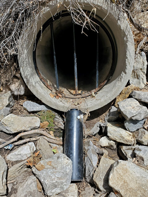 Environmental & Sustainability